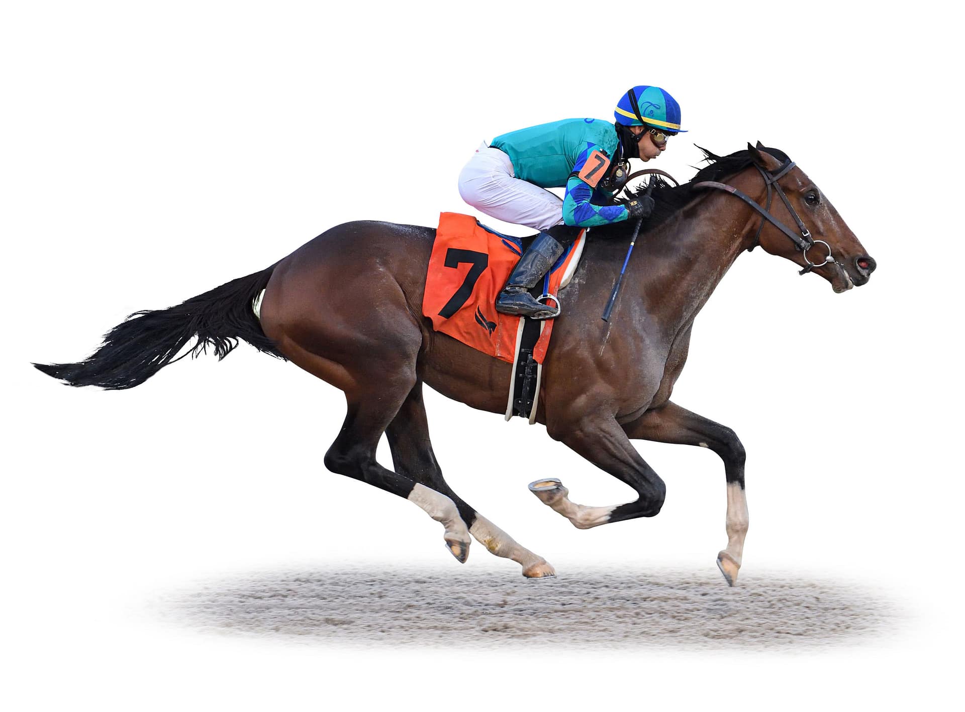 Greatest Honour - Thoroughbred Stallion at Spendthrift Farm, KY