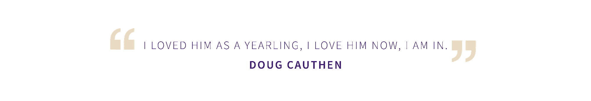 Jimmy Creed - Thoroughbred Stallion at Spendthrift Farm, KY